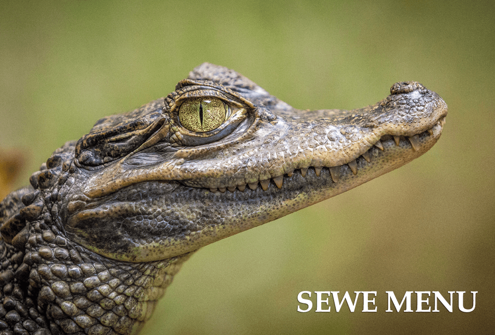 Swamp Fox Restaurant - Francis Marion Hotel, Charleston SC